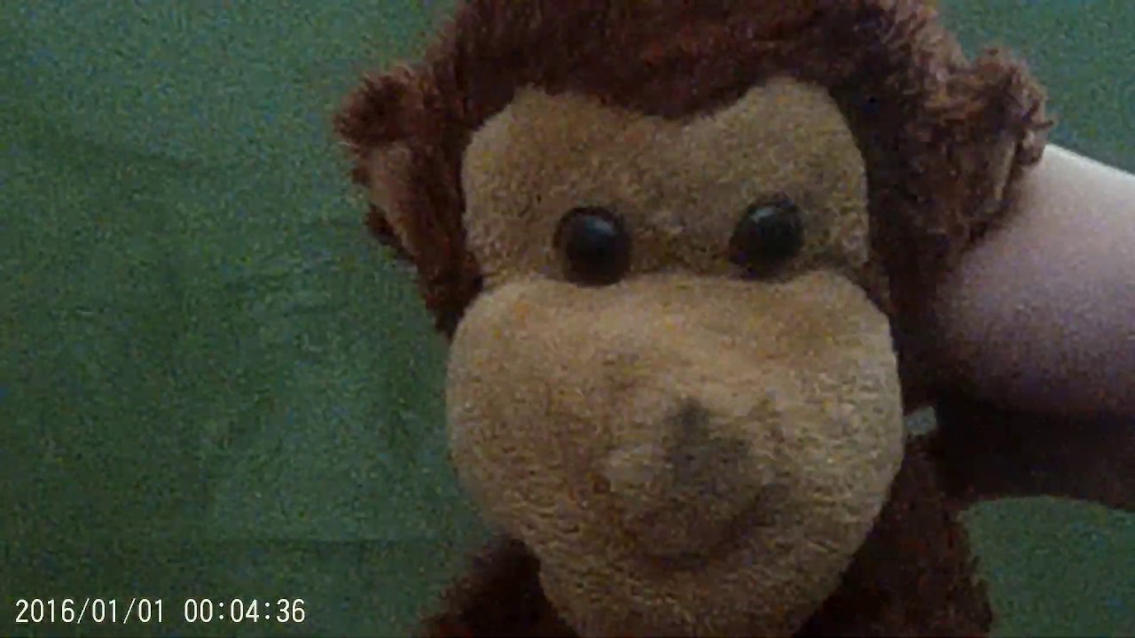 Jeff teaches you to fly! | Jeff the Monkey - YouTube