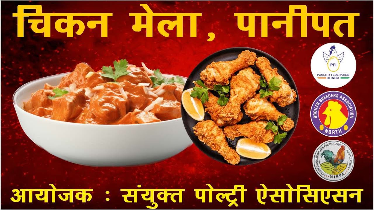 Highlights of Chicken Mela/चिकन मेला पानीपत - YouTube