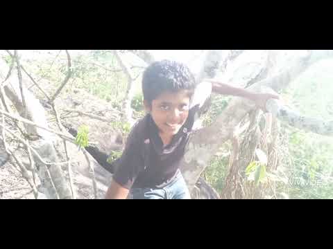 ආනන්ද රාජකරුණා මහතා Mr. Ananda rajakaruna. - YouTube