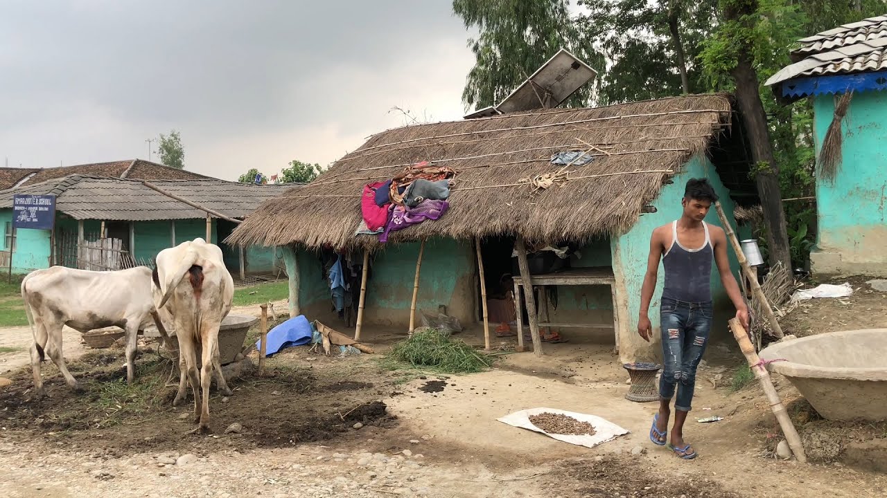 inside a remote village in nepal (how people live) || countryside daily ...
