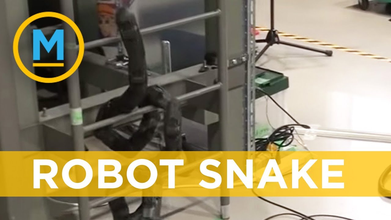 Scientists created a robotic snake that can climb ladders | Your ...