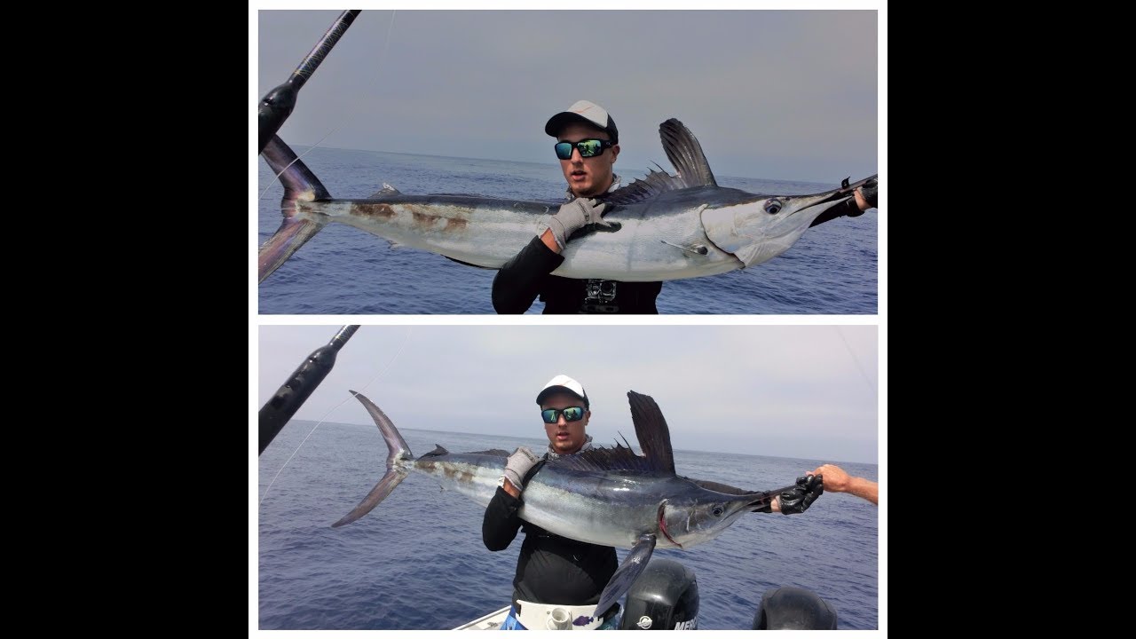Pêche du Marlin Blanc au maroc, Août 2017 - YouTube