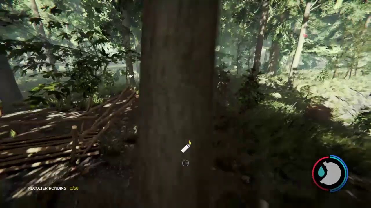 [ THE FOREST] Live. - YouTube