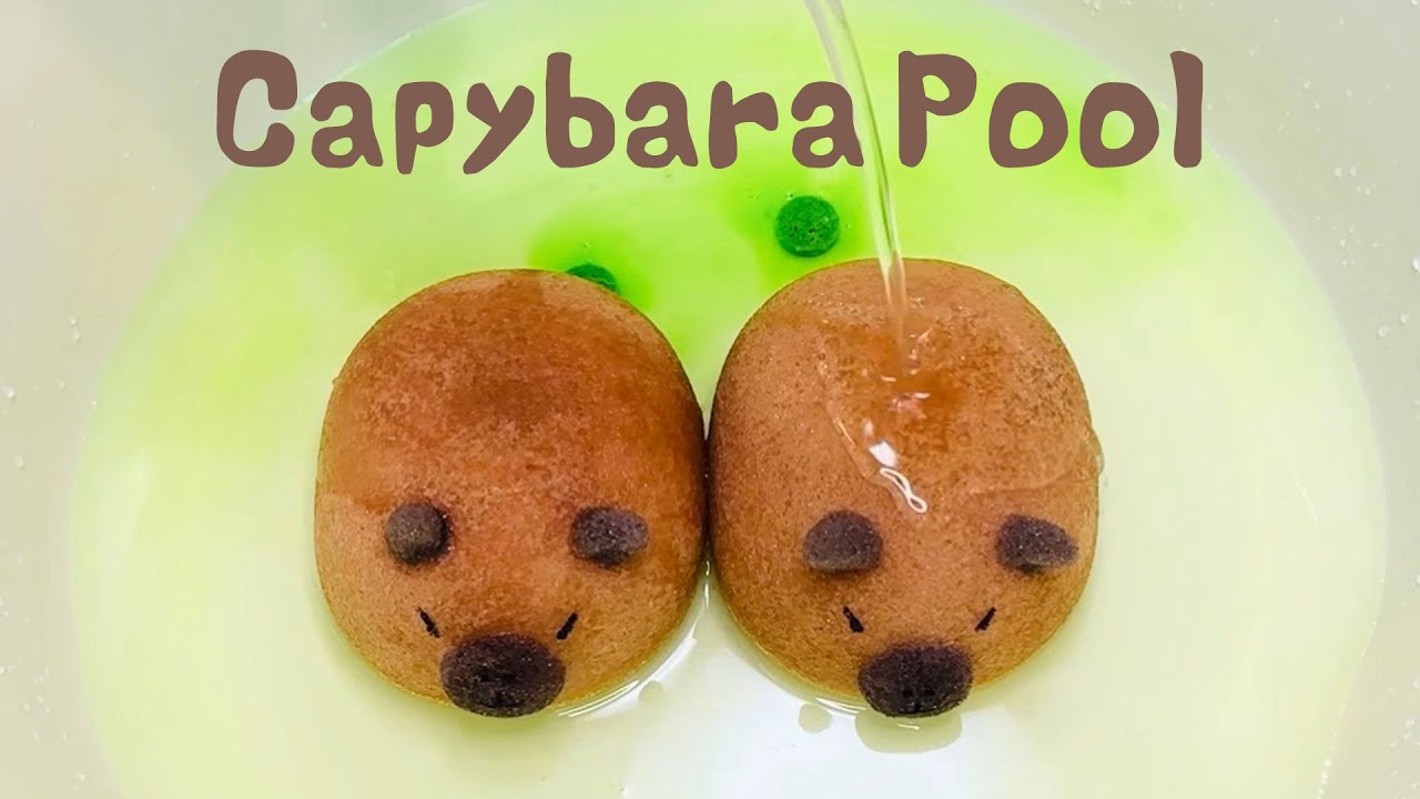ASMR Sponge 708.Capybara Pool - YouTube