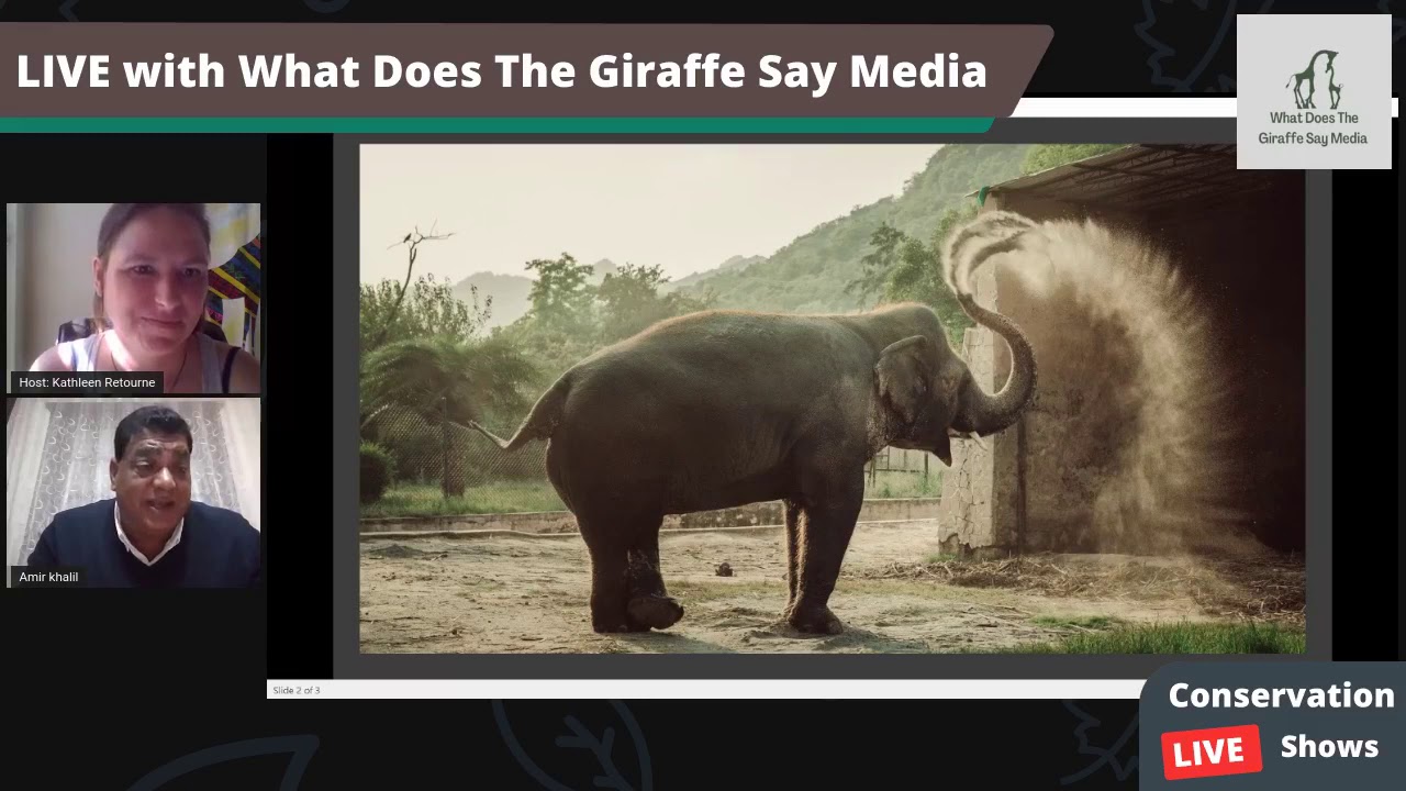 Wildlife conservation interview with Four Paws International's Amir ...