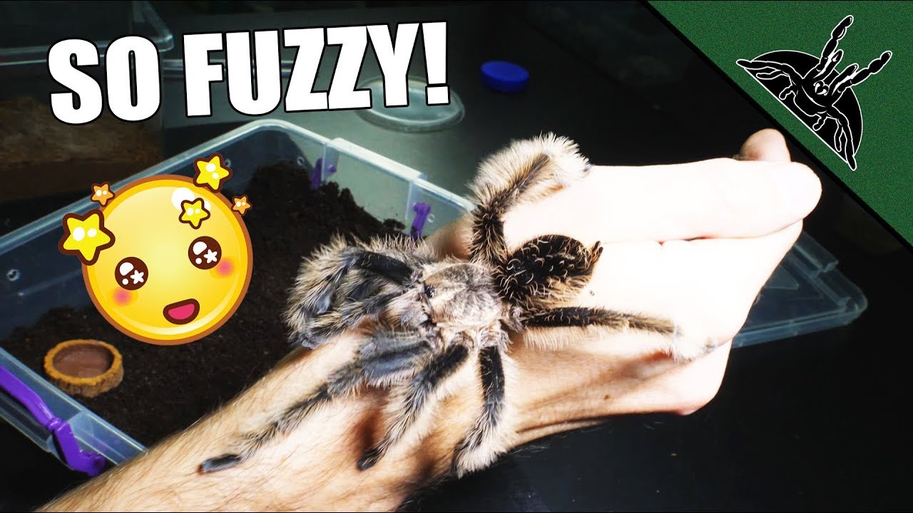 HANDLING while fighting with MOLD! - YouTube