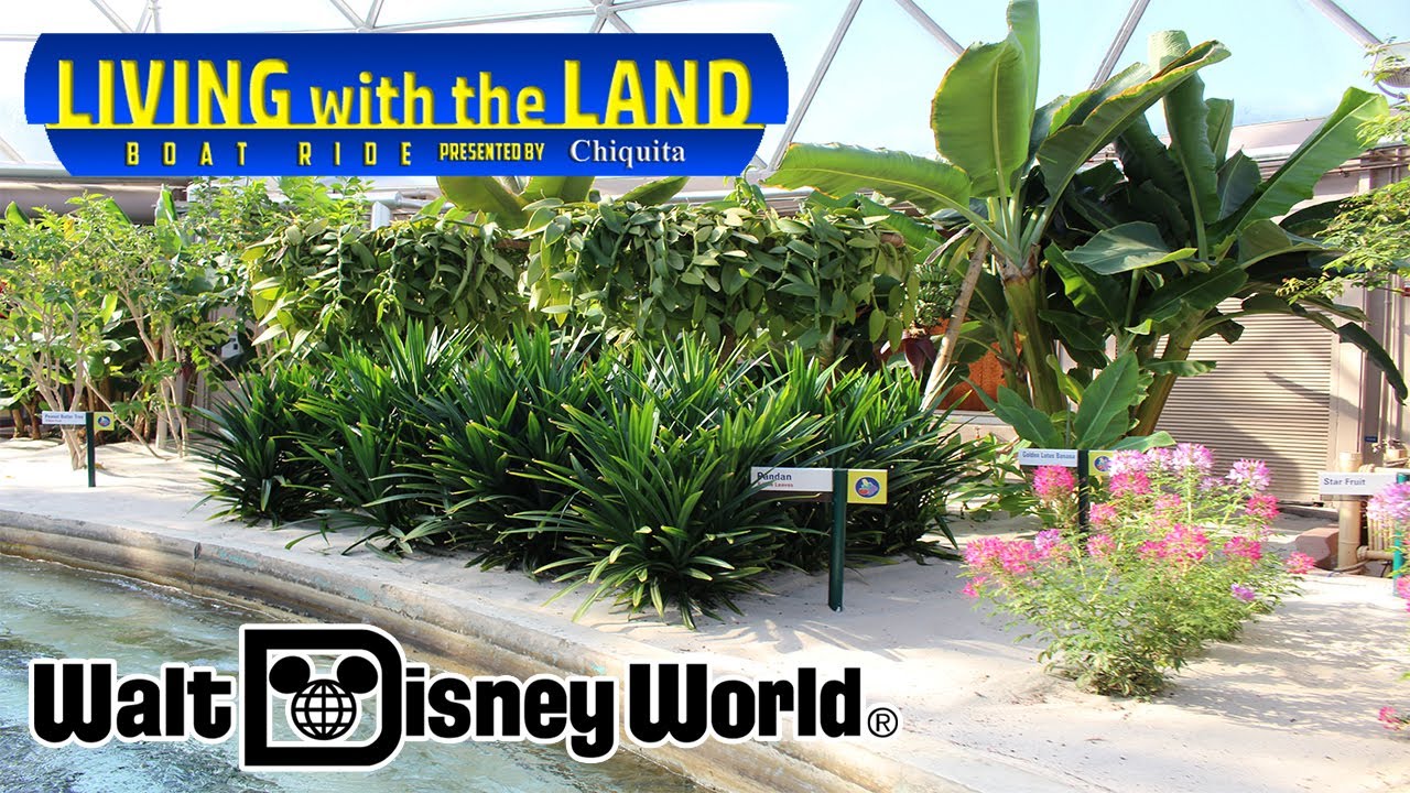 EPCOT's Living With the Land - POV Ride - Walt Disney World - YouTube