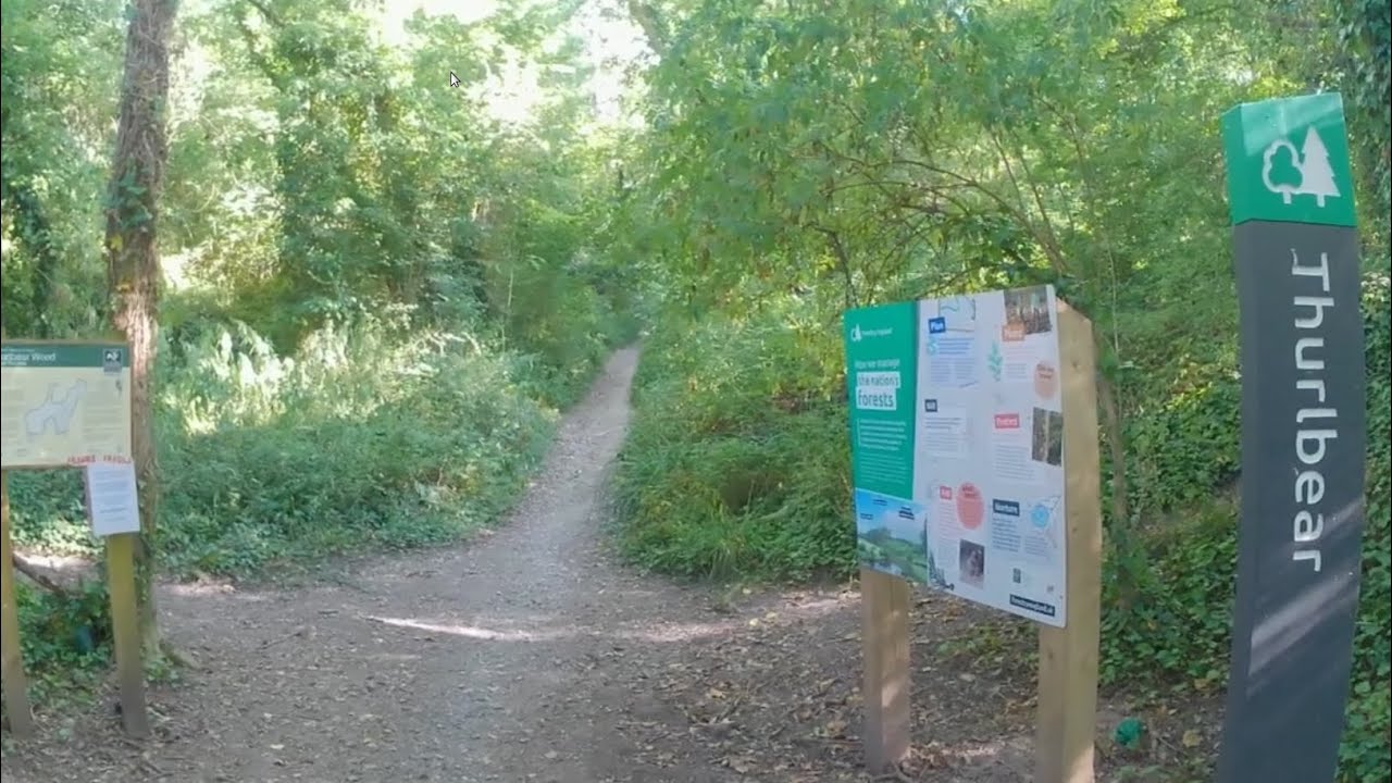 A hike through Thurlbear wood – Caminata por el bosque de Thurlbear ...