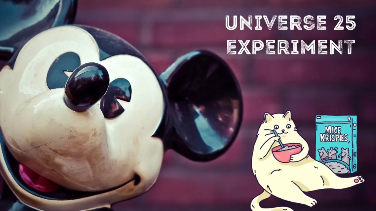 Universe 25 experiment | The Study Behind Population Reduction ...