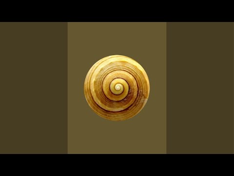 OKOTO Yoruba Cultura e Língua está ao vivo! - YouTube