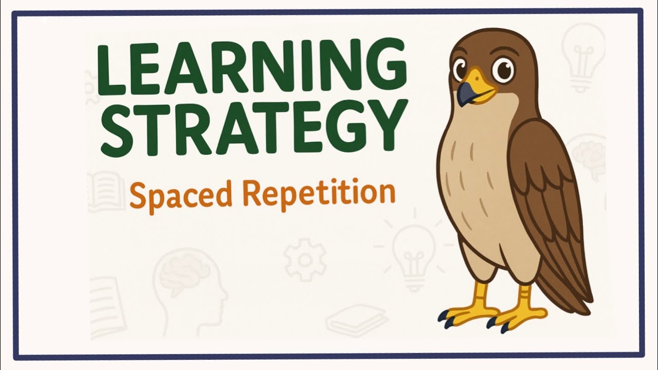How to study for exams || Learning Strategy: Spaced Repetition || How ...