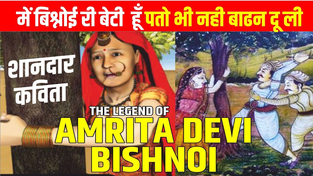 Amrita devi bishnoi | Amrita devi bisnoi khejarli | amrita devi bishnoi status | ashu sir ...