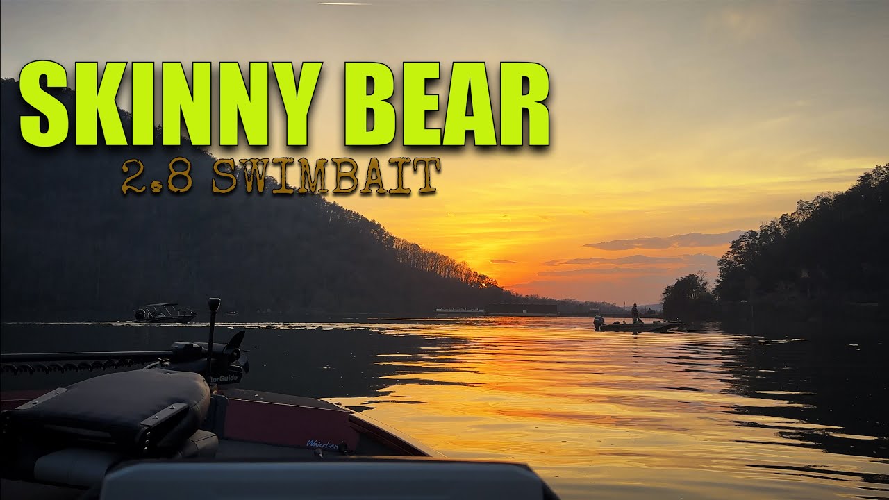 Skinny Bear 2.8 Rib Shad Catching Bass - YouTube