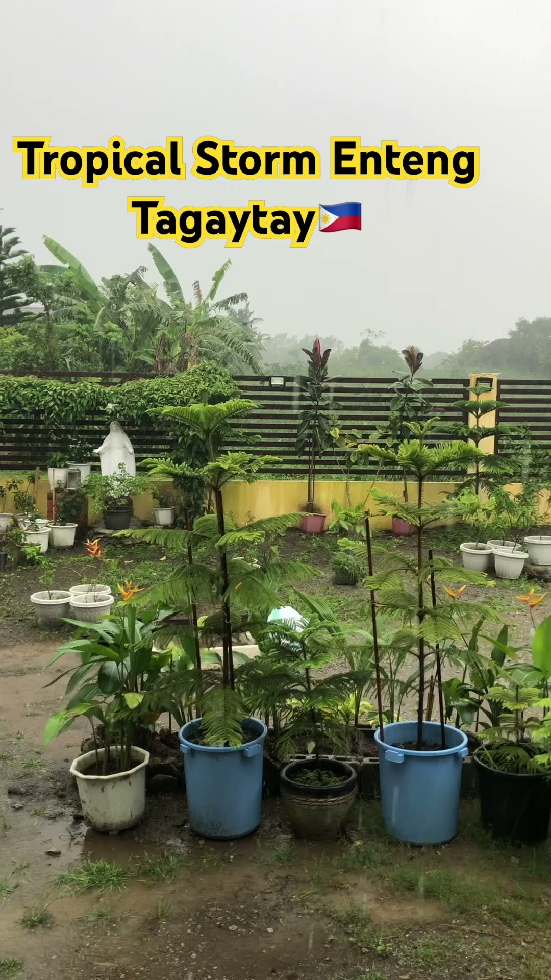 Tropical Storm Enteng - YouTube