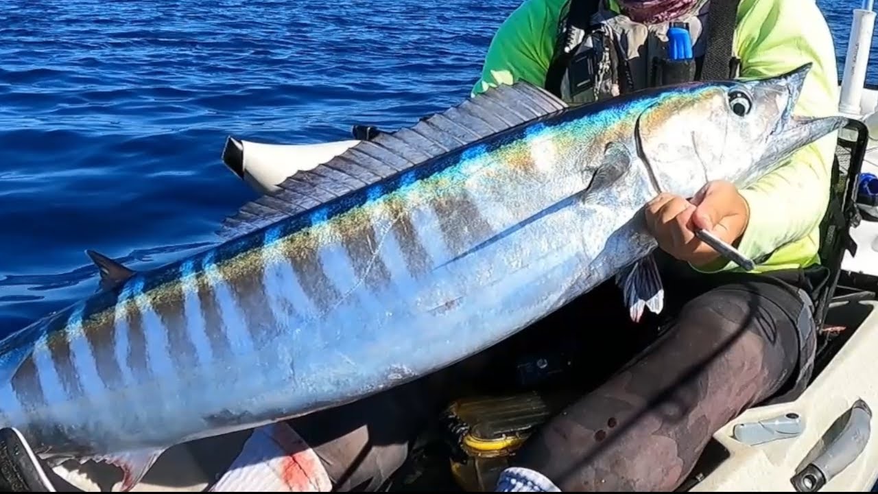 Hawaii Kayak Fishing: Ono (Wahoo) Curse Broken! - YouTube