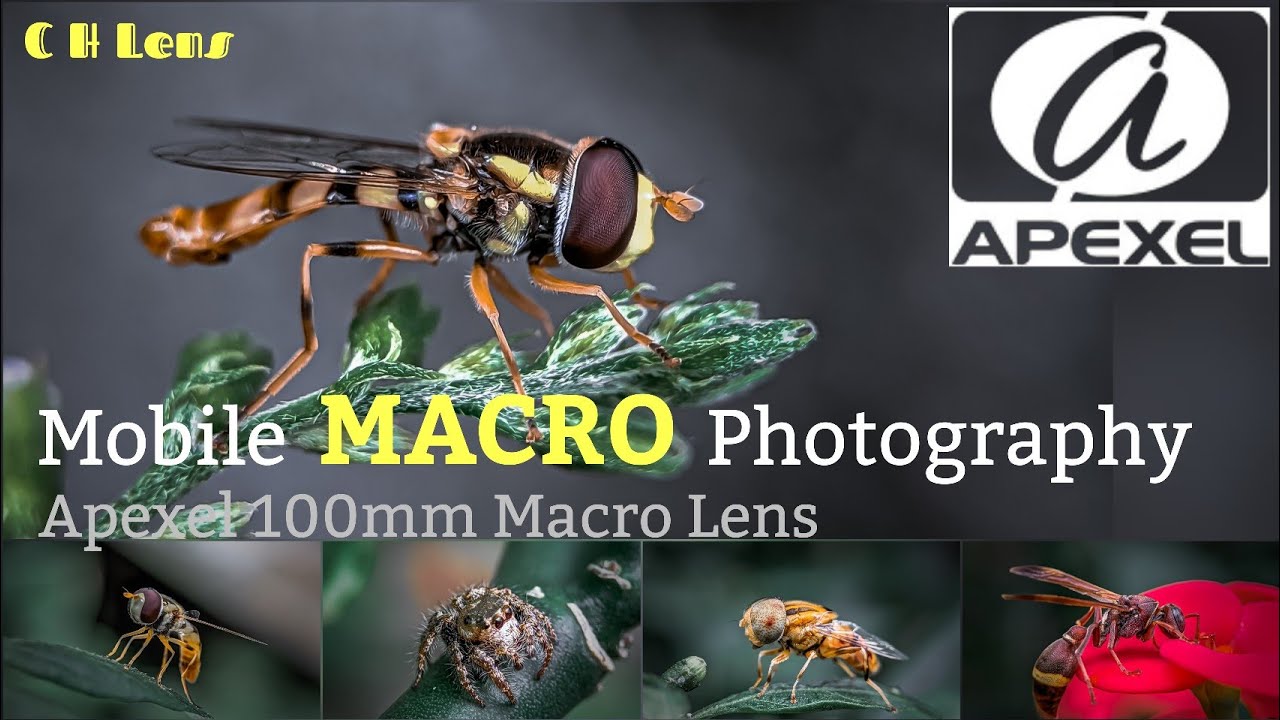 Mobile Macro Photography - Insects Macro Hunting using Apexel 100mm ...