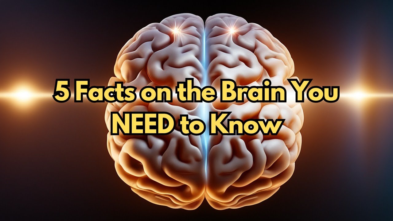 5 Facts of the Brain You NEED to Know - YouTube