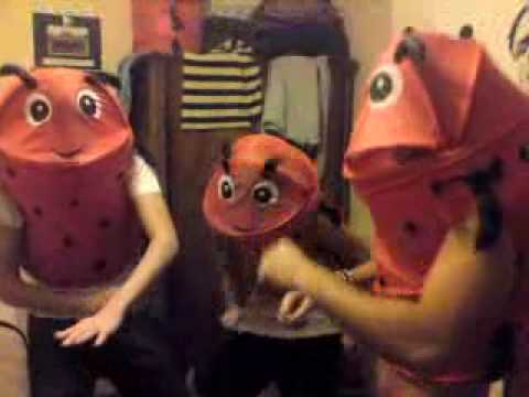 Dancing Ladybirds - YouTube