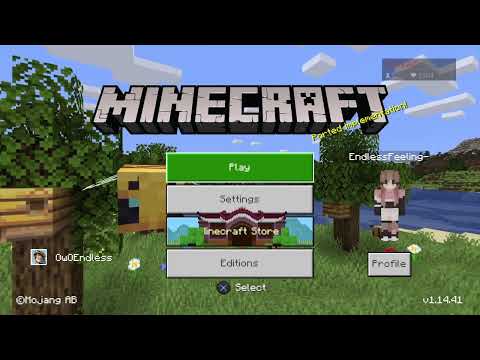 Gamer girl plays Minecraft - YouTube