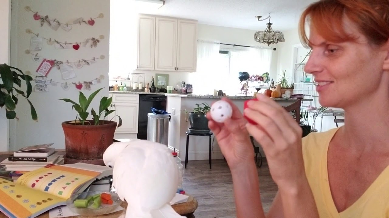 Ellie learning patterns - YouTube