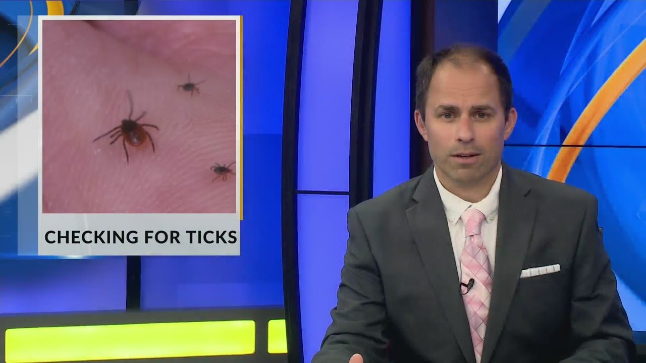 Checking for ticks (corrected clip) - YouTube