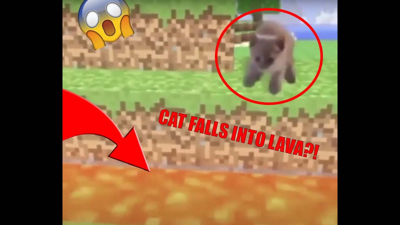 Minecraft cat finds lava river | You won't believe what happened ...