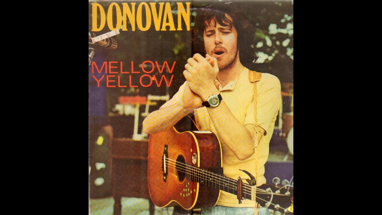 Donovan - Mellow Yellow - Evening At The Improv 1983 - YouTube