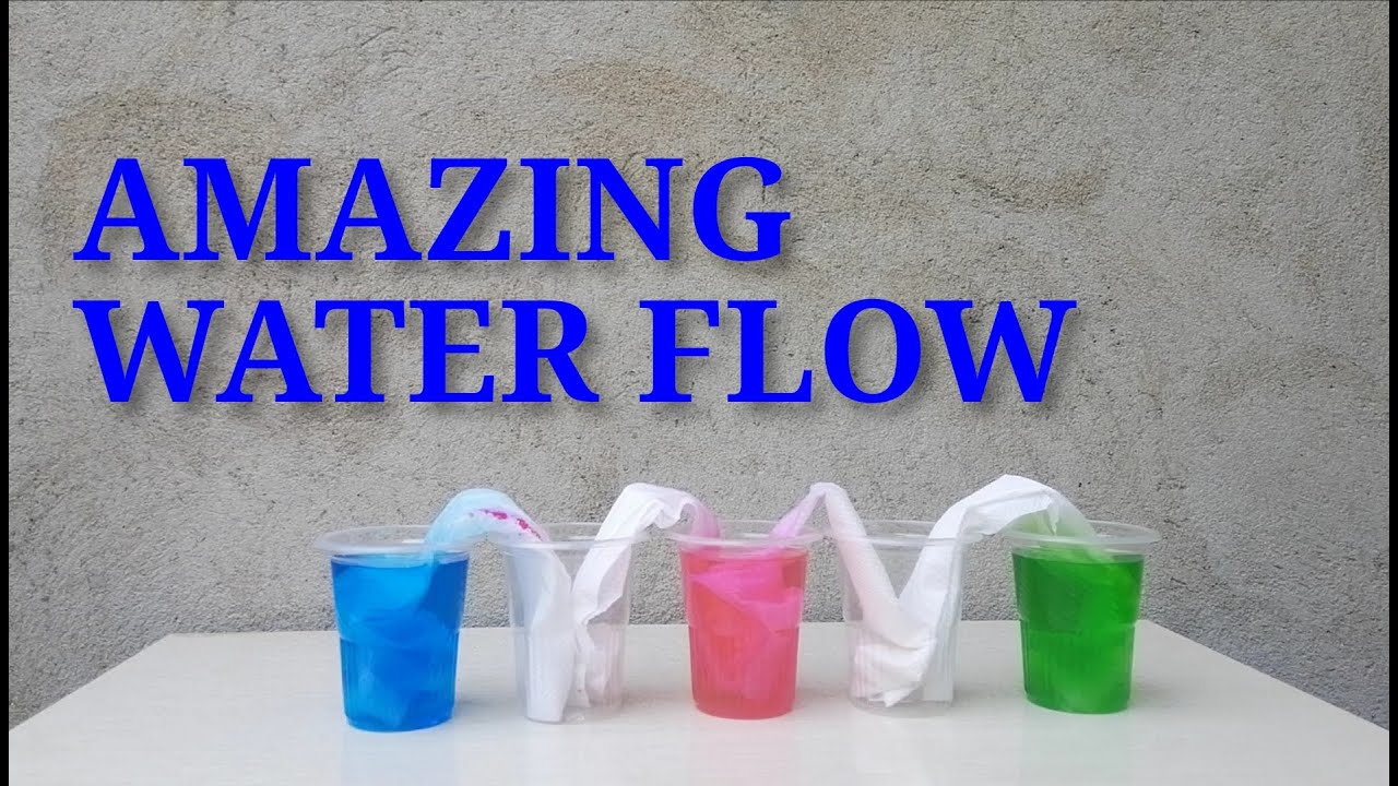 Amazing Water Experiment - Easy Science at Home - YouTube