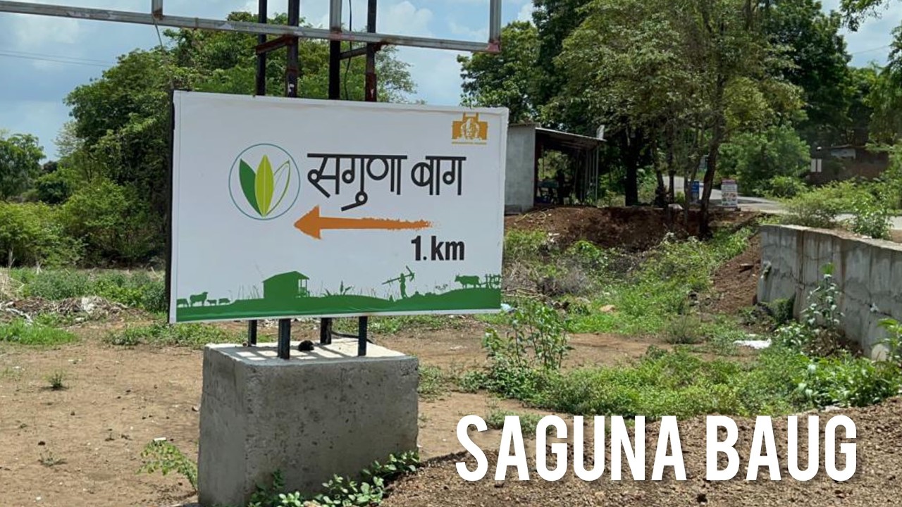 Saguna Baug Vlog😍 | Part 1 | All About Art And Activities - YouTube