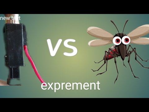 lighter vs mosquito exprement || mosquito experiment - YouTube