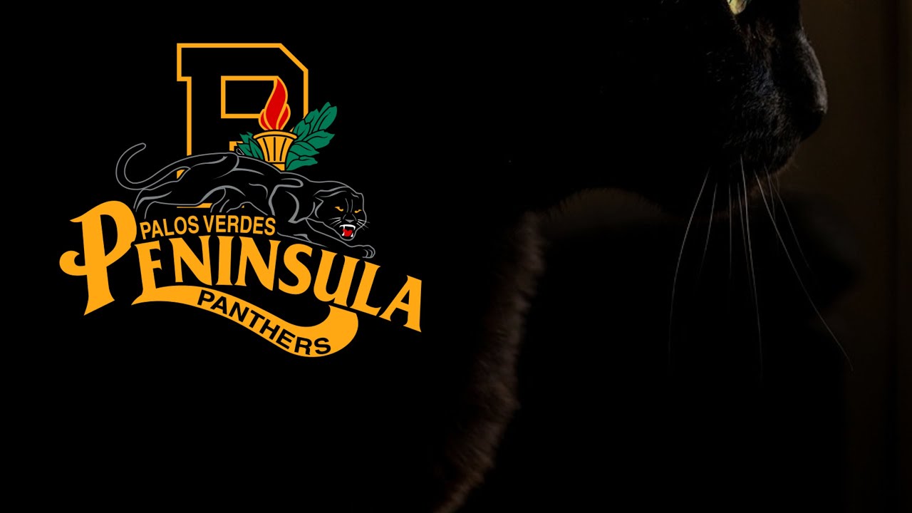 2024 PVPHS Panthers JV @West HS - YouTube