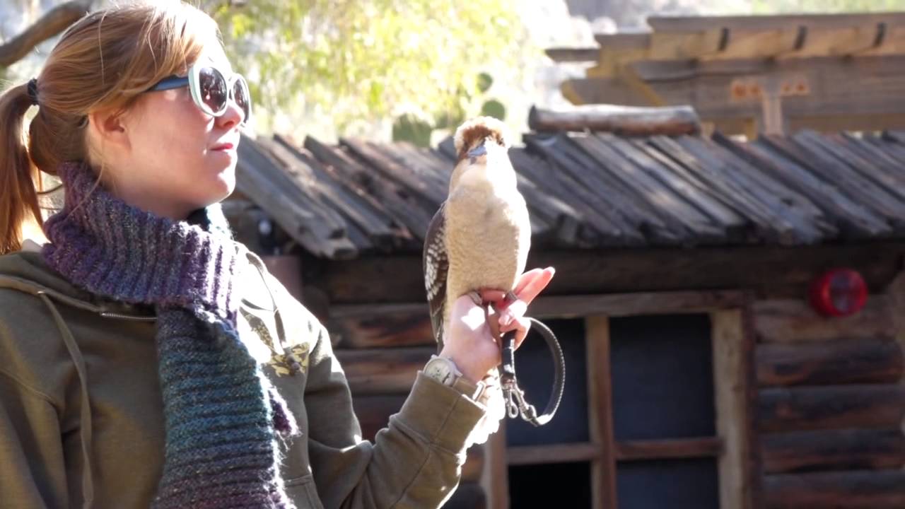 Wildlife Wonder Show. The Living Desert and Nature Preserve Winter ...