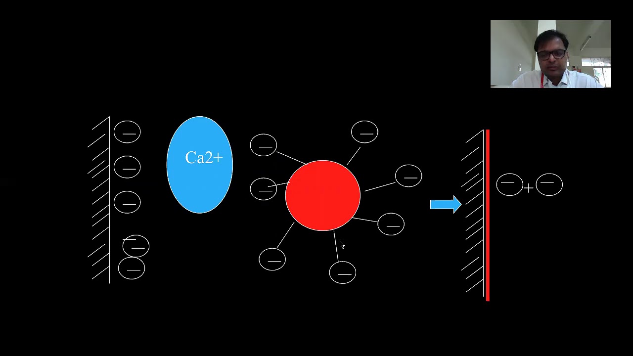 Dental Plaque Part II: formation of dental plaque: undergraduate ...