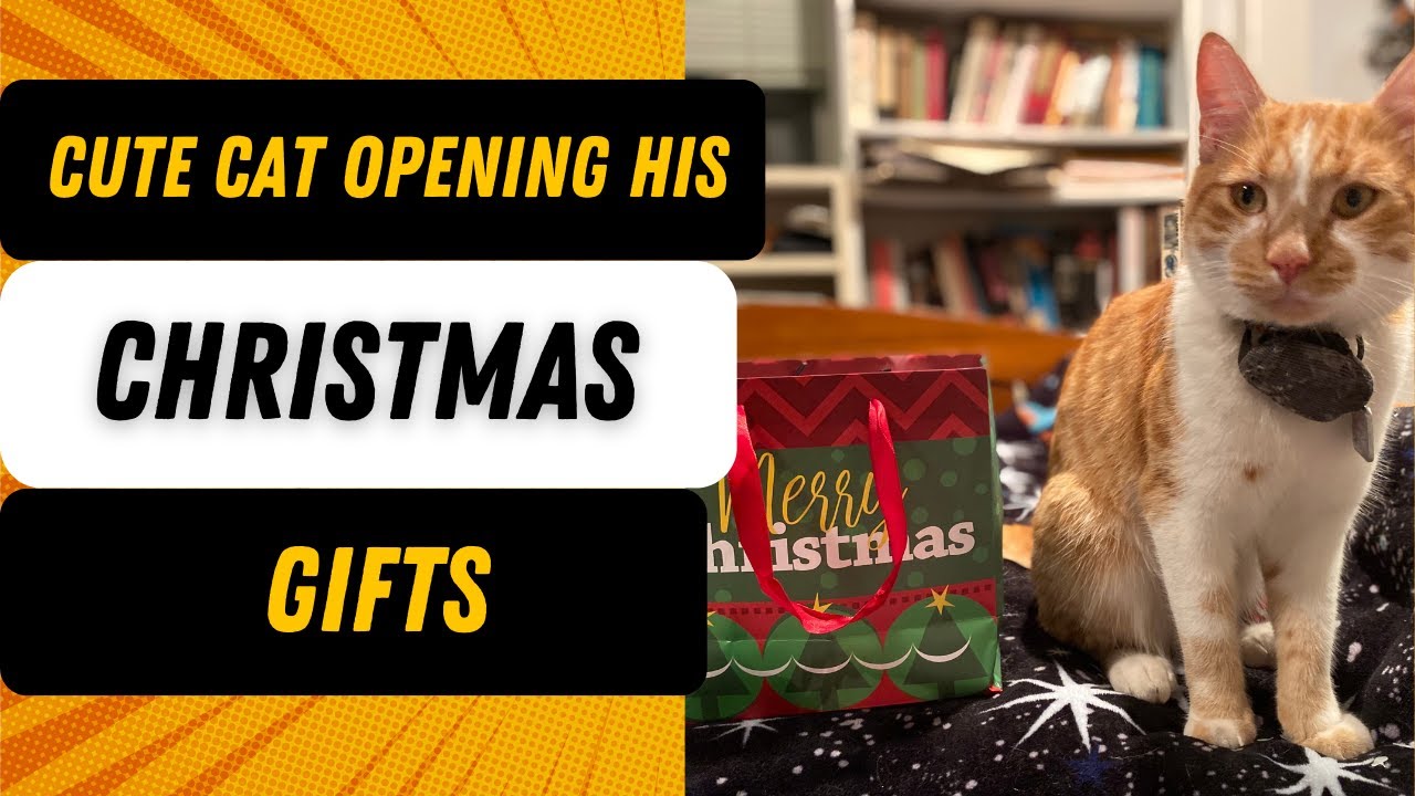 Cute CAT Opening his Christmas Gifts | CAT Unwrapping Christmas ...