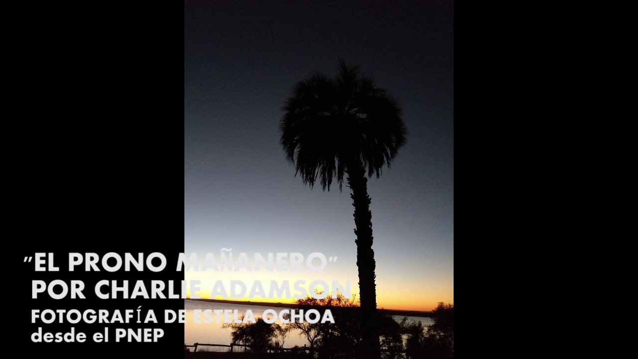"Prono mañanero" de Charlie Adamson. 26 de mayo - YouTube