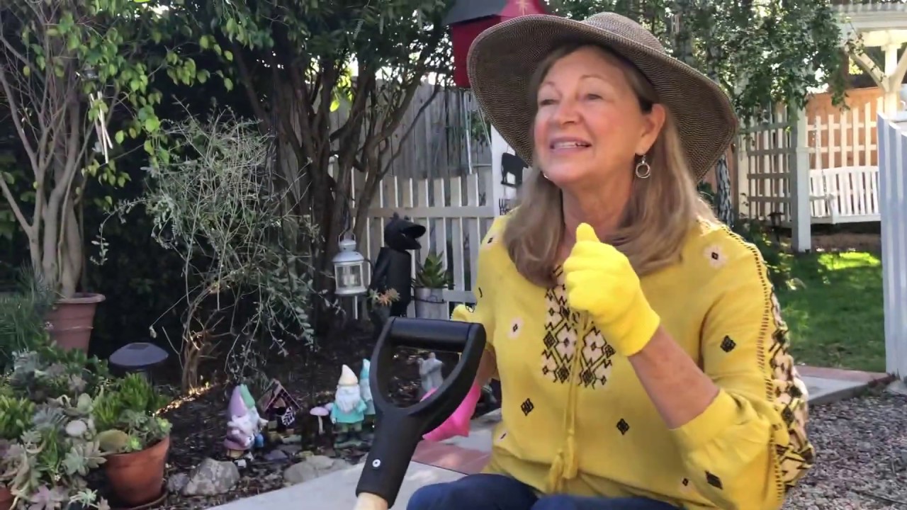 The Grasshopper Song by Ms. Jeannie & The Grasshopper Kids - YouTube