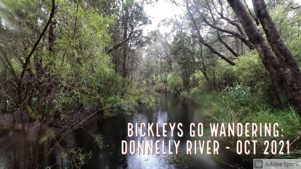 Donnelly River Village - October 2021 - YouTube