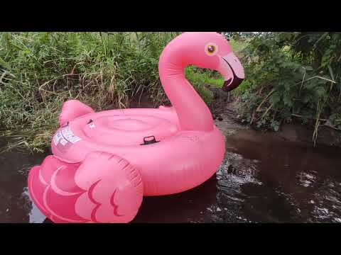 INTEX 56288 - Inflatable beautiful large pink beach flamingo 218cm x 211cm, flowing on a small river