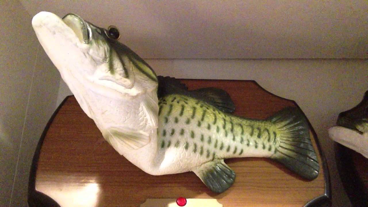 Big Mouth Billy Bass (FULLY WORKING ONE!) - YouTube