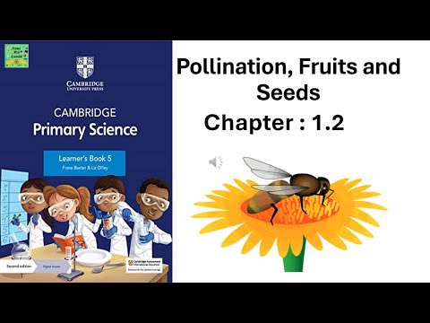 Cambridge Primary Science Stage 5 Learners book| Unit1.2| Pollination ...