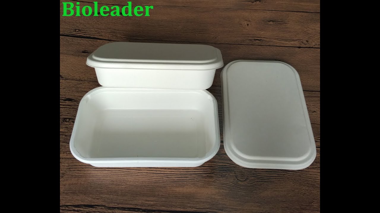 Biodegradable Compostable Airplane Lunch Box Airline Meal Box Dessert ...