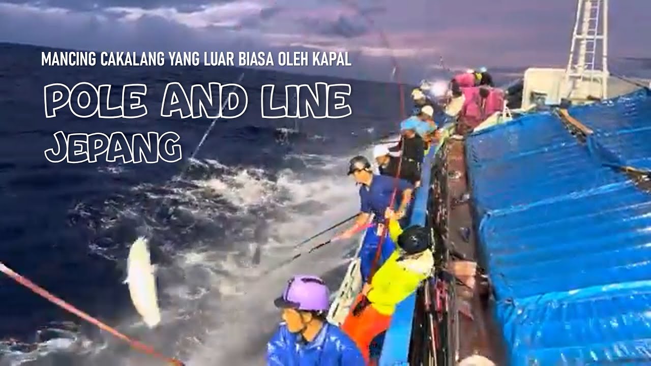 Mancing Cakalang yang luar biasa oleh kapal Pole and Line Jepang - YouTube