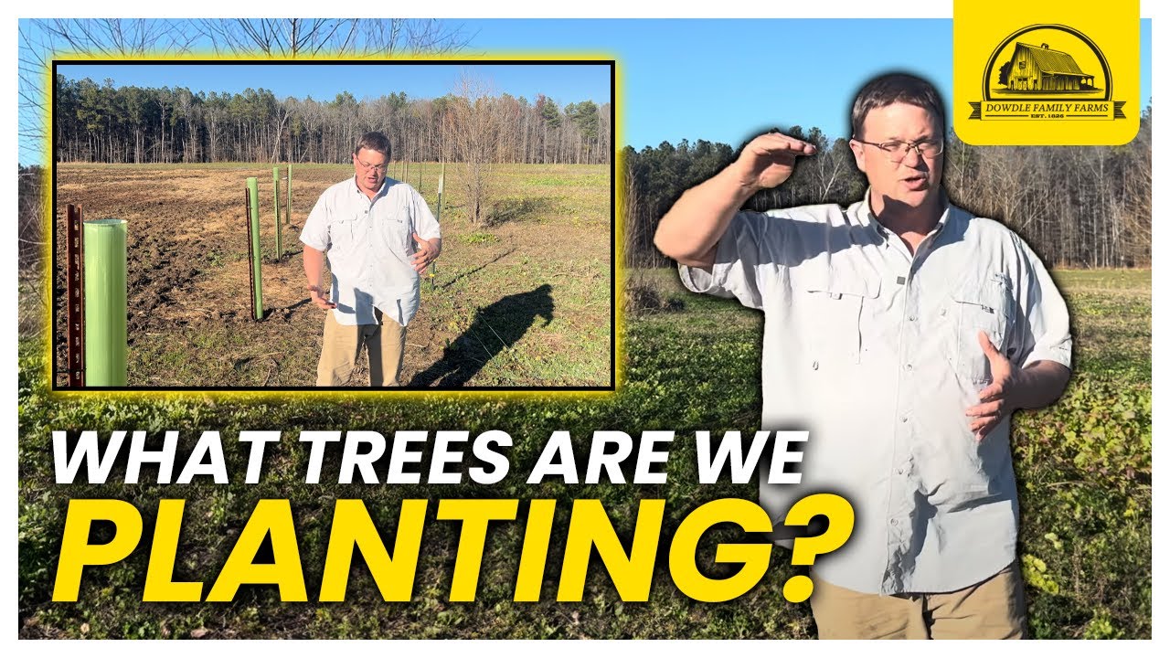 Planting Trees on a Regenerative Farm - YouTube