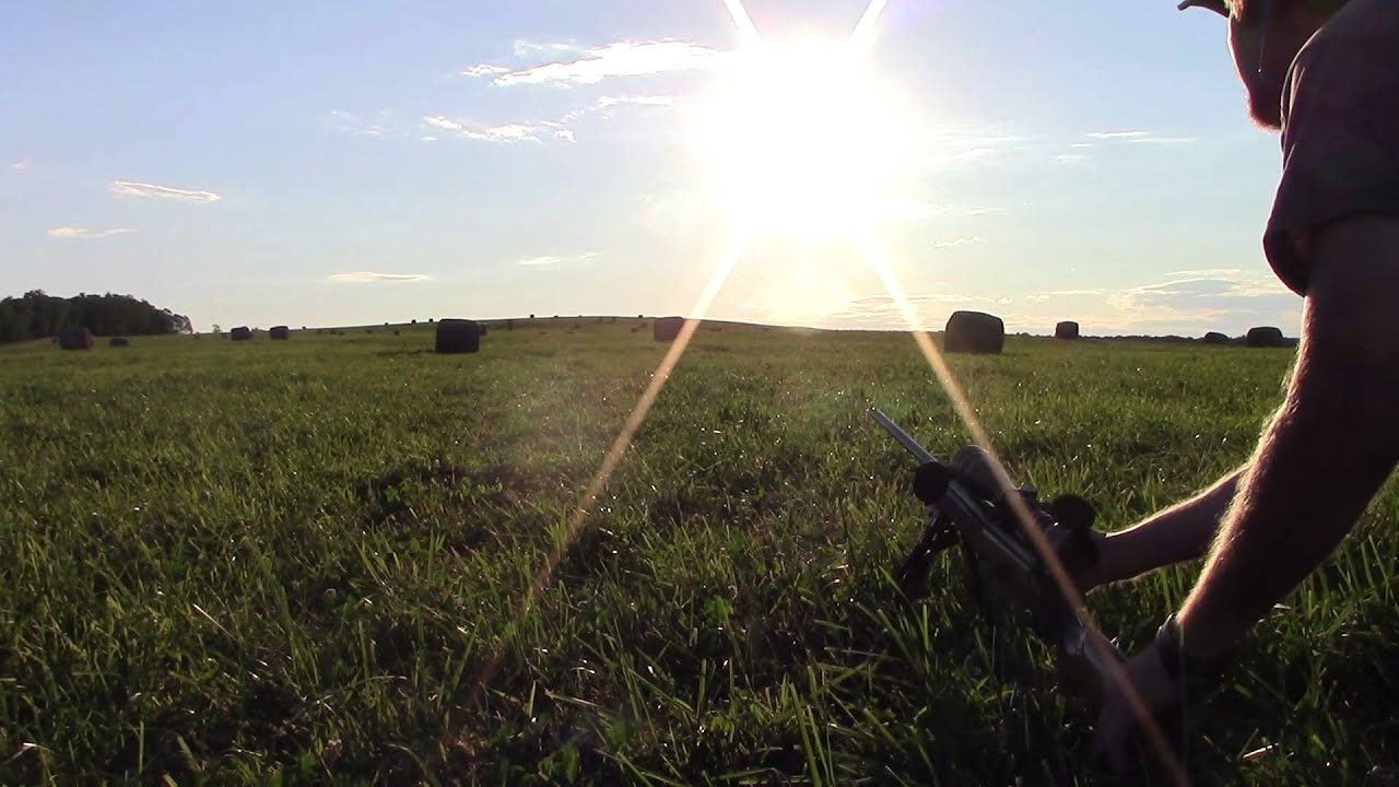 Woodchuck Hunting '15 - Very nice long range shots! - YouTube