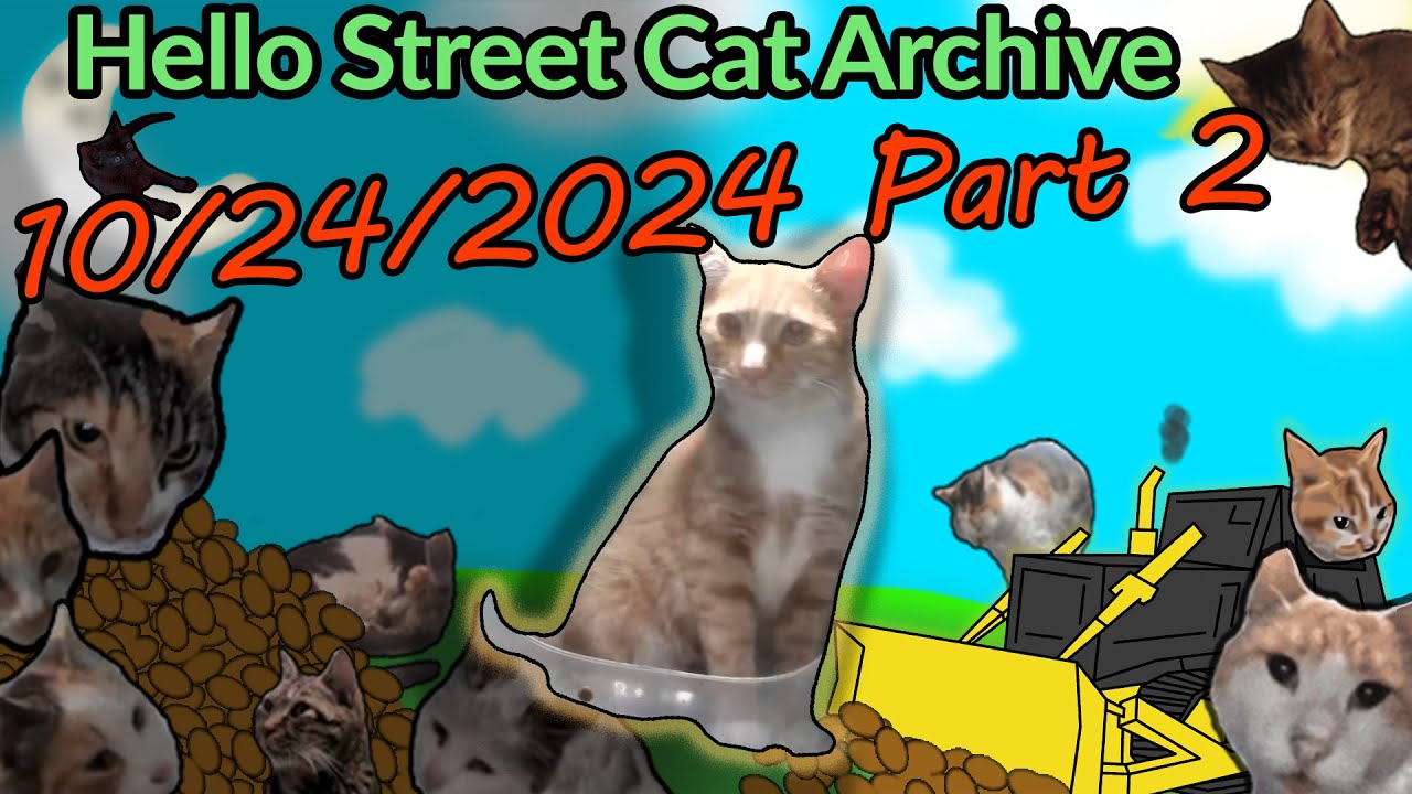 Mr. Miner is known as the Mt. Kibble Conqueror of Hello Street Cat! ⛰️🐈 ...