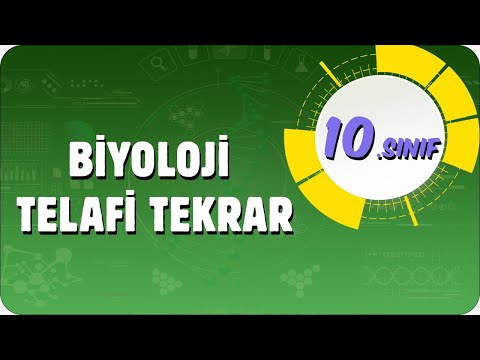 10. Sınıf Biyoloji Telafi | Tek Videoda Tekrar ♻