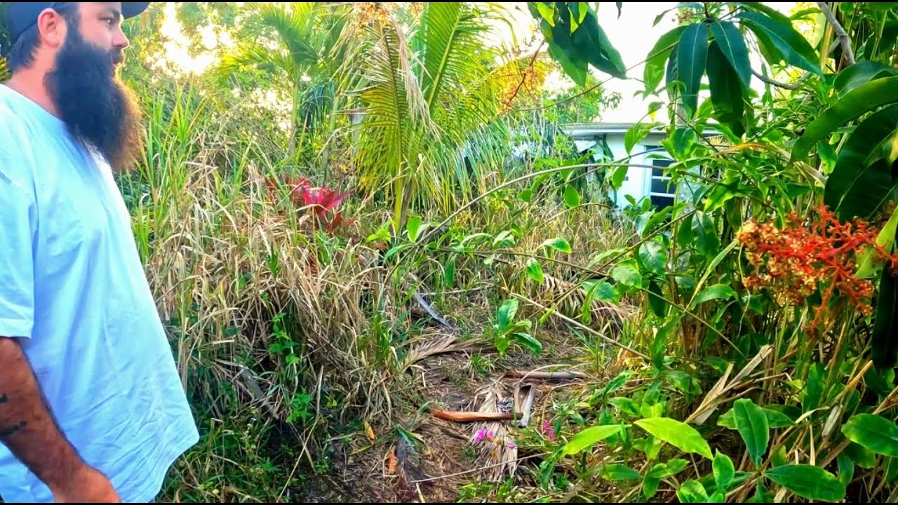 Finding The CRAZIEST Overgrown Lawns In Florida With Lawn Care ...