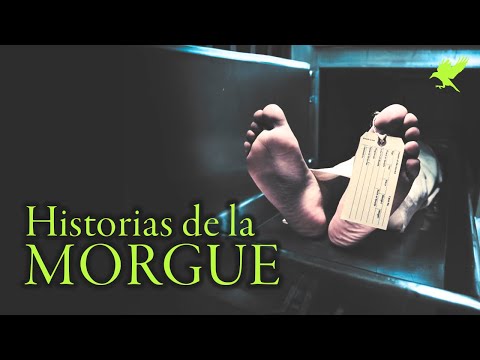 RELATOS DE TERROR EN LA MORGUE| Gritos en la noche