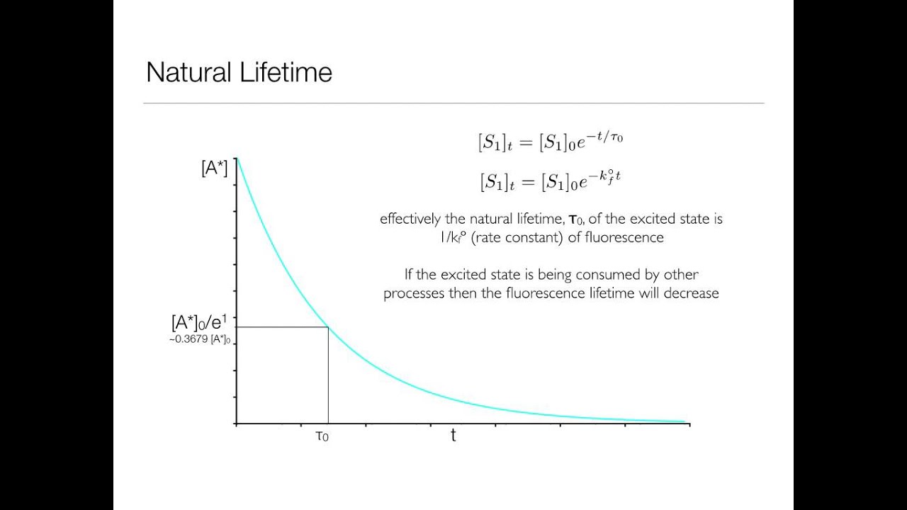 Lifetime Concept - YouTube