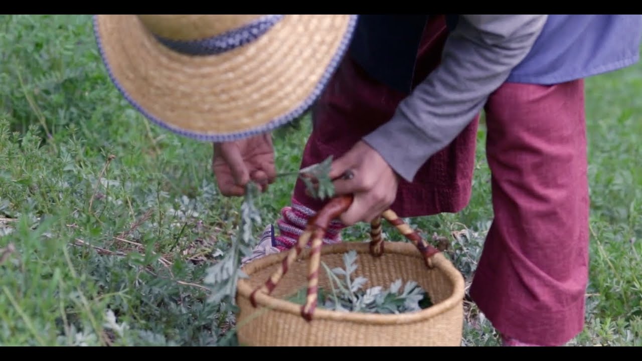 TARU WO SHIRU: to know you what is enough - YouTube